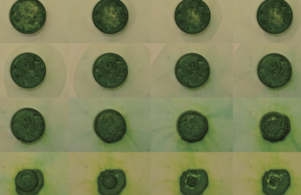 Obra em derretimento do artista Patrick Tedesco - ArteRef