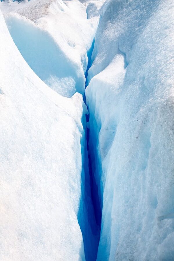 A Tropicália e 12 curiosidades que você precisa conhecer - ArteRef