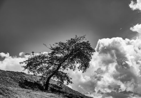 Kitsch e Camp: Saiba as diferença entre os termos - ArteRef