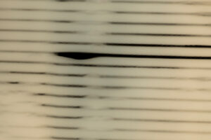 Luciana Rique apresenta primeira individual no Rio de Janeiro - ArteRef